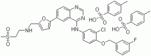 Lapatinib ditosylate CAS 388082-77-7 Watson International Limited
